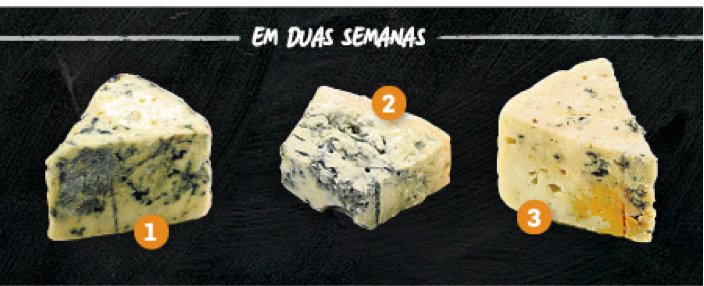 Queijos - conexão sabor